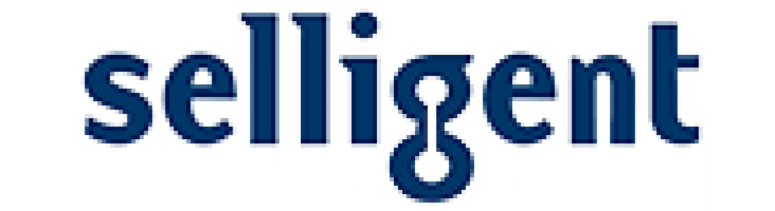 Selligent - Groupe +2COm